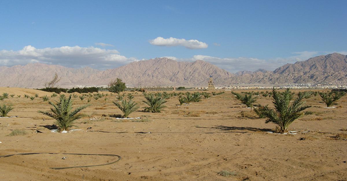 Tourism blooms in Israel's Arava desert - AL-Monitor: The Middle Eastʼs ...