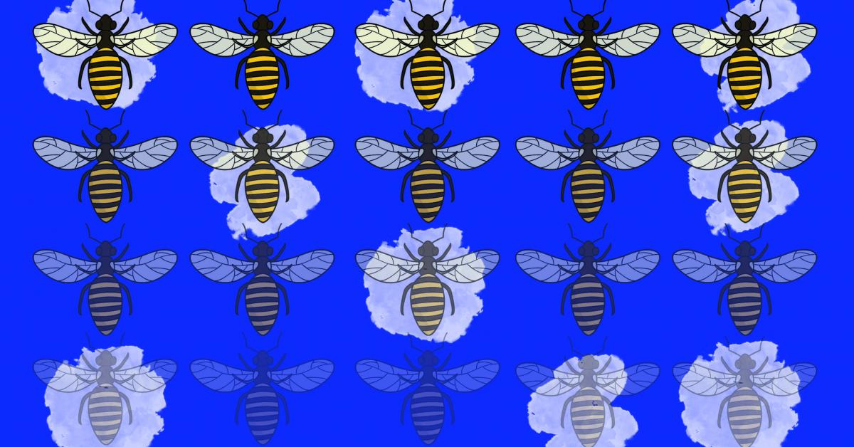 How sweet Jewish New Year tradition causes bitter fight in Israel - Al ...