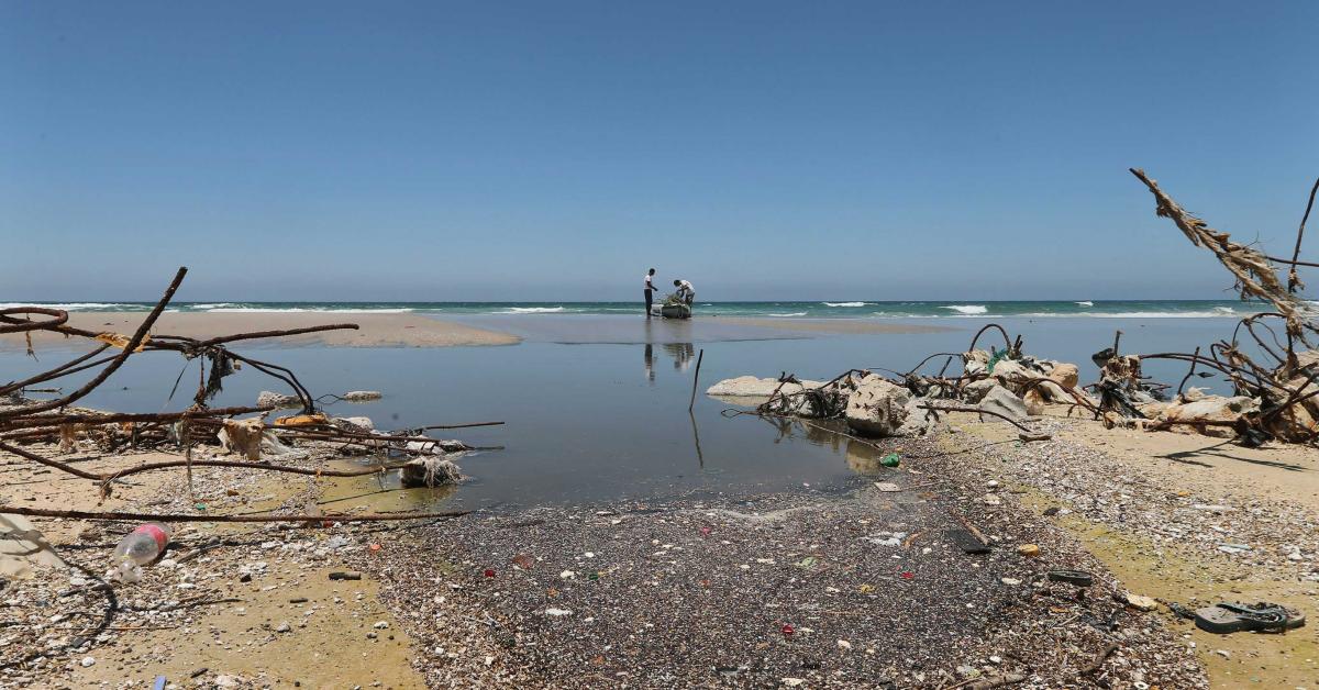 Israeli, Palestinian environmentalists aren't waiting on Trump peace ...