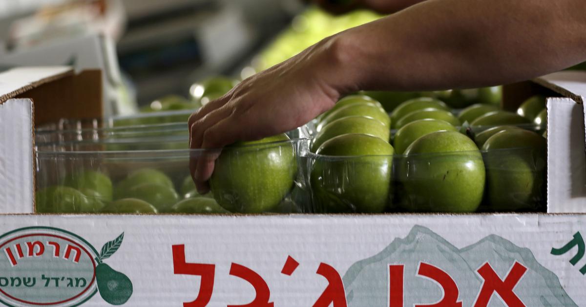 Palestinians pin hopes on Irish efforts against Israeli imports - AL ...