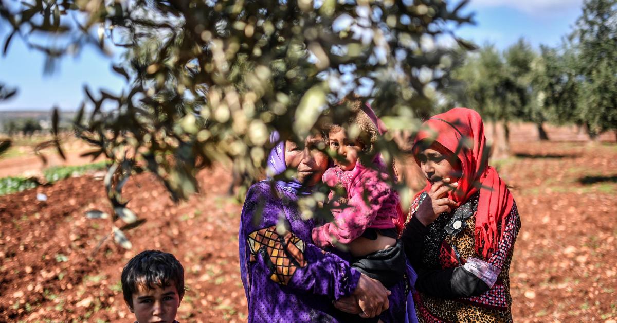 Turkey's 'Olive Branch' takes root in Syrian olive business - AL ...