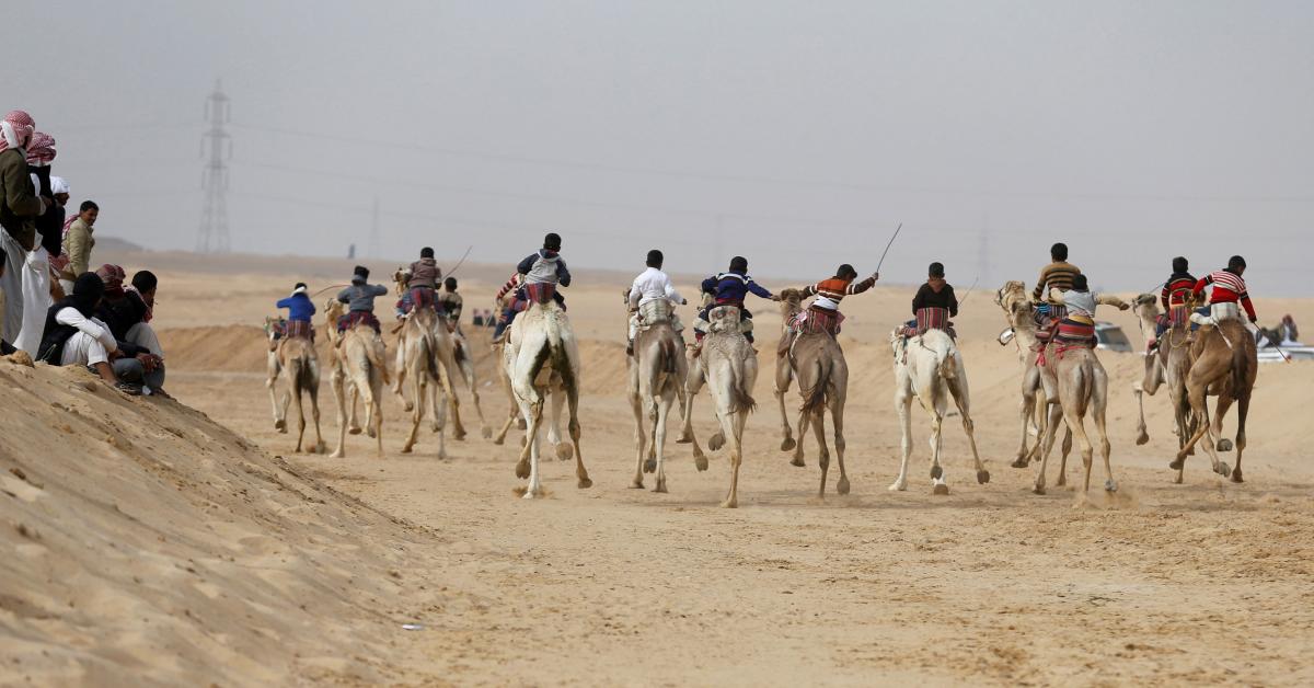 Egypt's camel racing shifts into high gear - AL-Monitor: The Middle ...