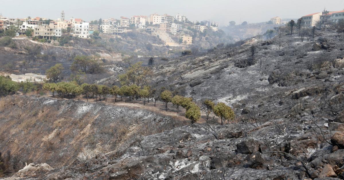 How much will it cost for Lebanon to reforest after wildfires? - AL ...