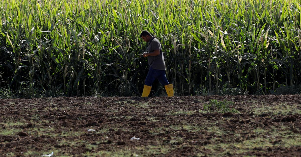 Turkey’s seasonal workers caught between virus, poverty - AL-Monitor ...