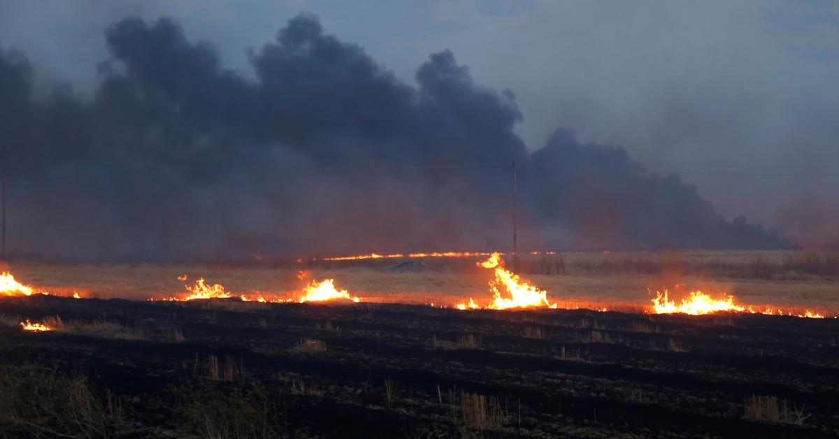Islamic State believed behind crop fires in Iraq's disputed territories ...