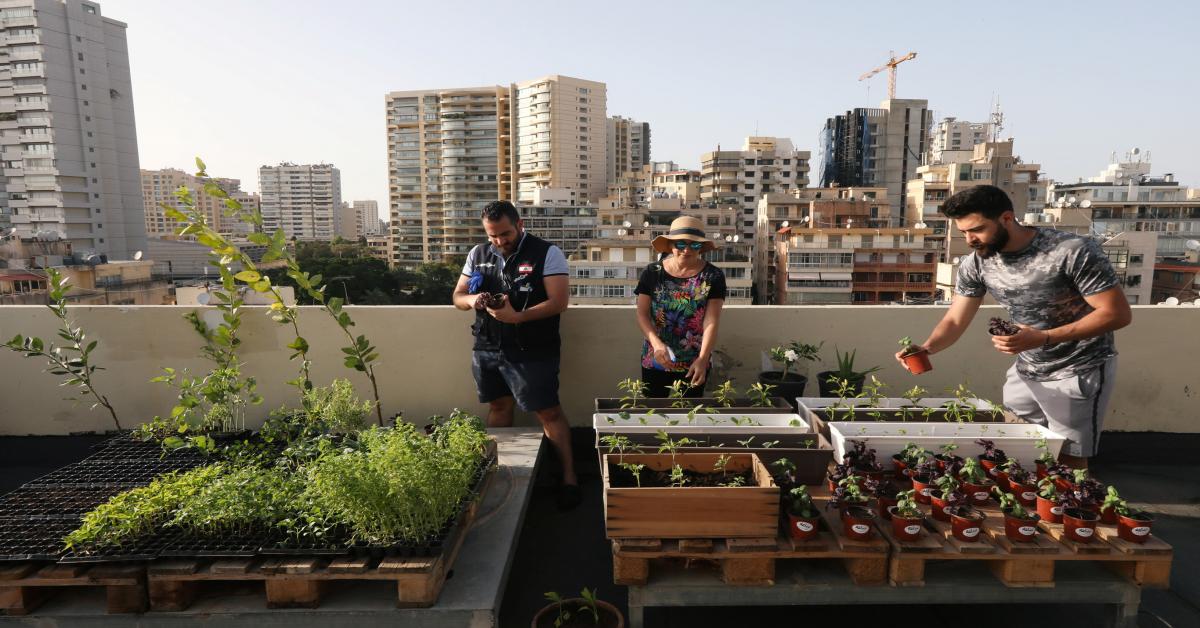 Lebanon’s economic crisis is decimating its middle class - AL-Monitor ...