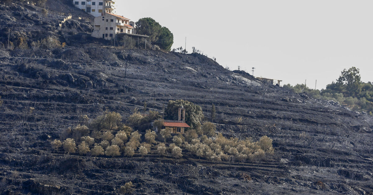 Assad pays rare visit to fire-ravaged western Syria - AL-Monitor: The ...