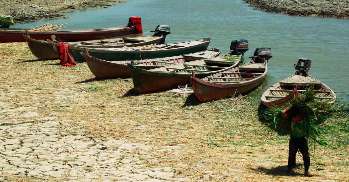 UN project hopes to preserve Iraq’s marshlands - AL-Monitor: The Middle ...