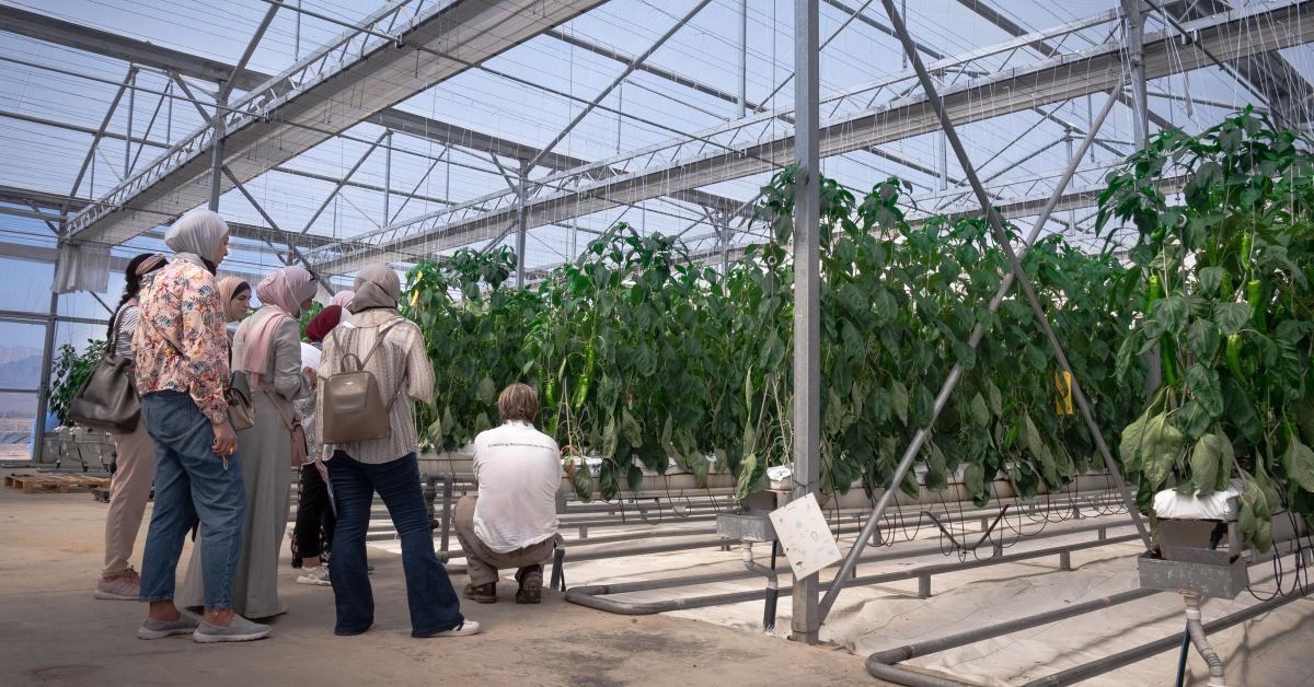 In Jordan, female engineers lead way in sustainable agriculture - AL ...