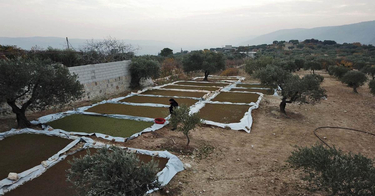 Syrian livestock depleted by war, failing economy - AL-Monitor: The ...